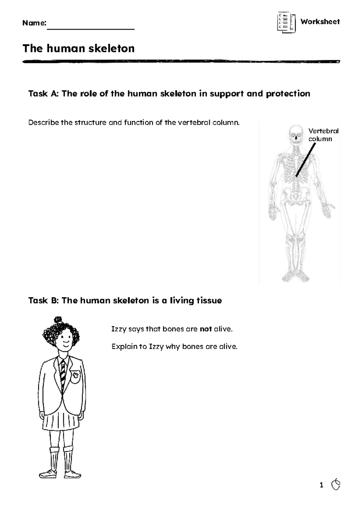 Skeletal System Worksheet: Structure & Function of Bones - Studocu