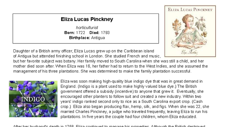 Eliza Lucas Pinckney: Pioneer of Indigo in SC History - Studocu