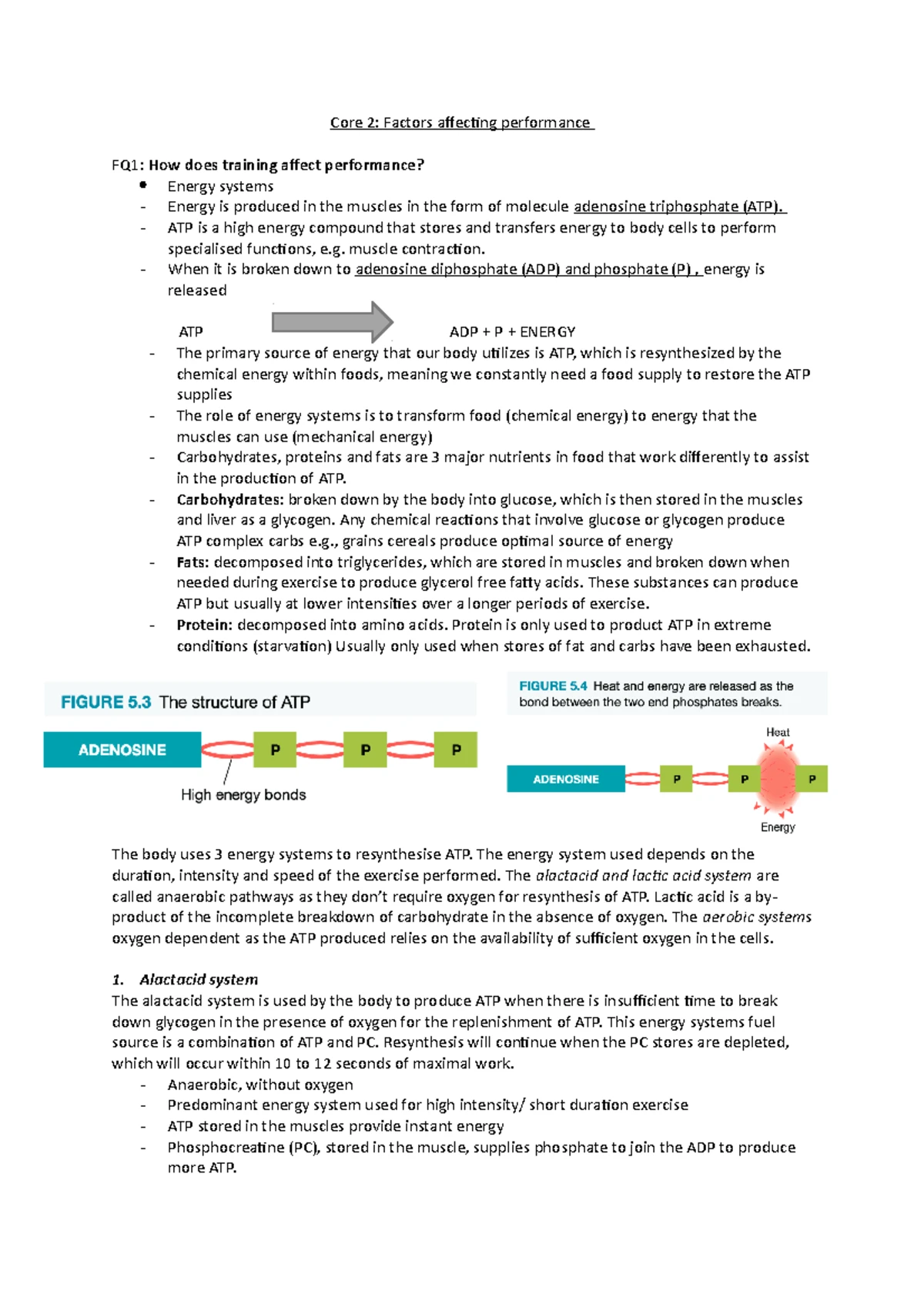 Pdhpe- Factors Affecting Performance notes - HSC Core 2 Factors ...