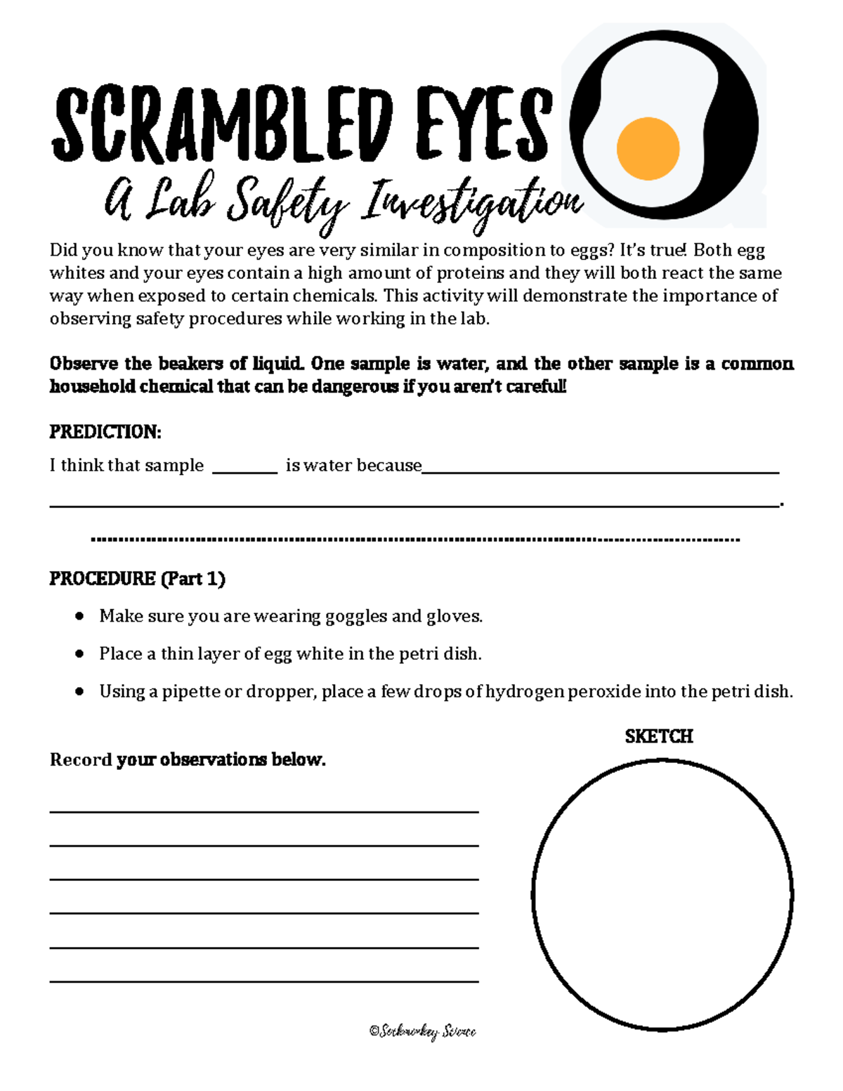 Lab Activity: Scrambled Eyes Experiment (Safety Procedures) - Studocu