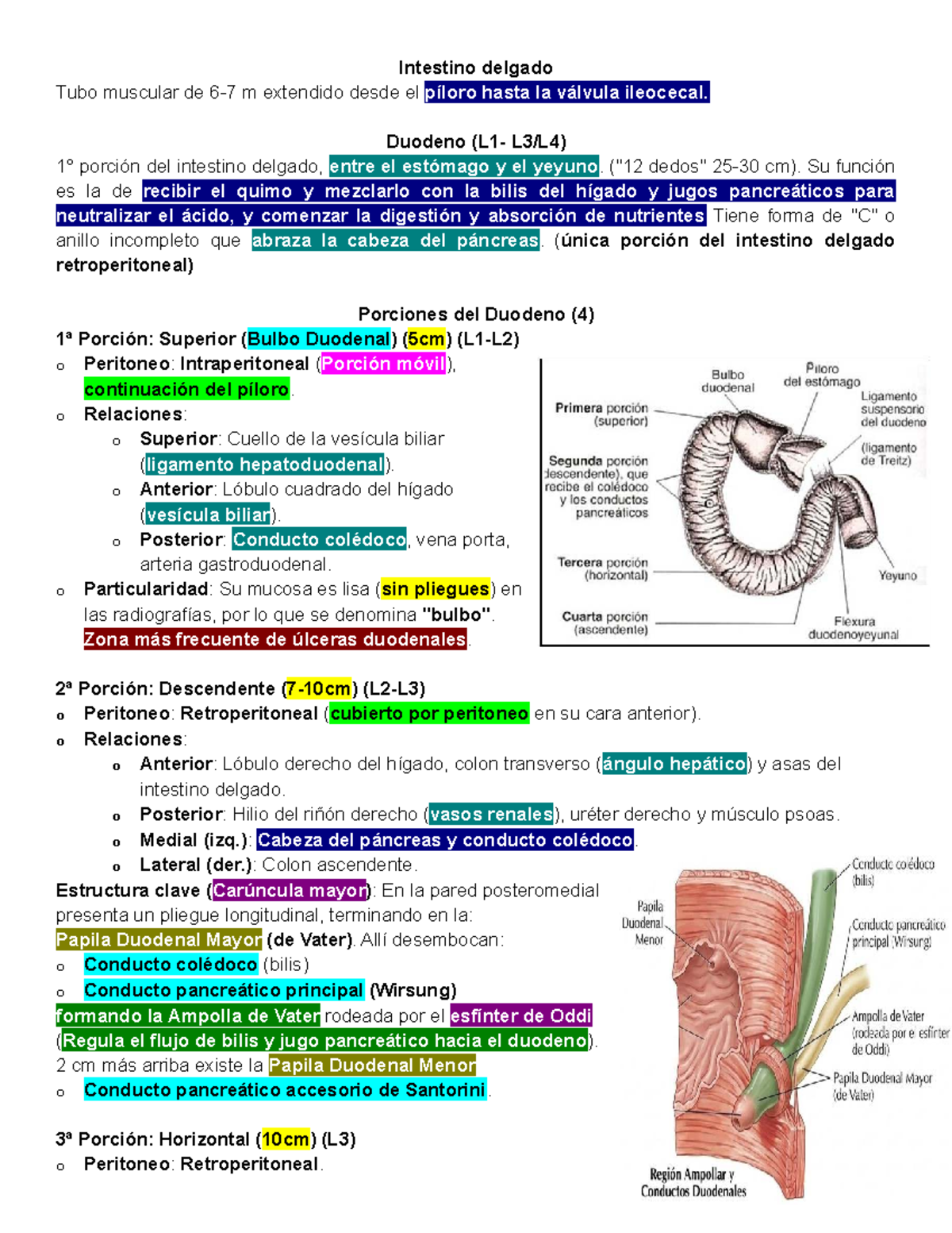 Notas de Clase sobre Pancreatitis (MÉD 101) - Studocu