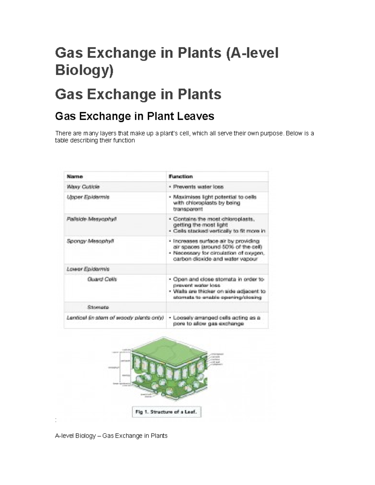 A-level Biology: Gas Exchange in Plants Worksheets - Studocu