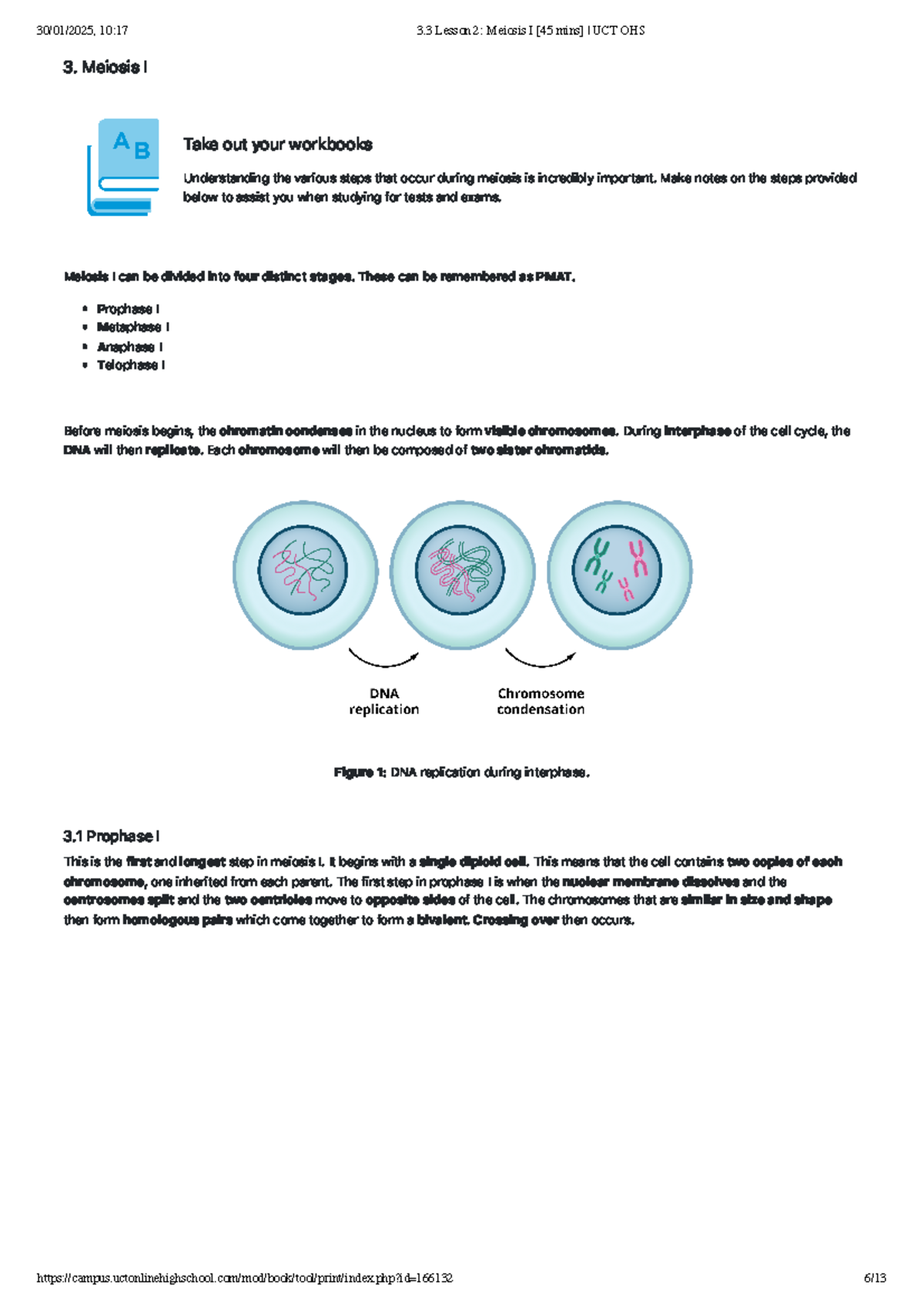 Mitosis lesson - 3. Meiosis I Take out your workbooks Understanding the ...