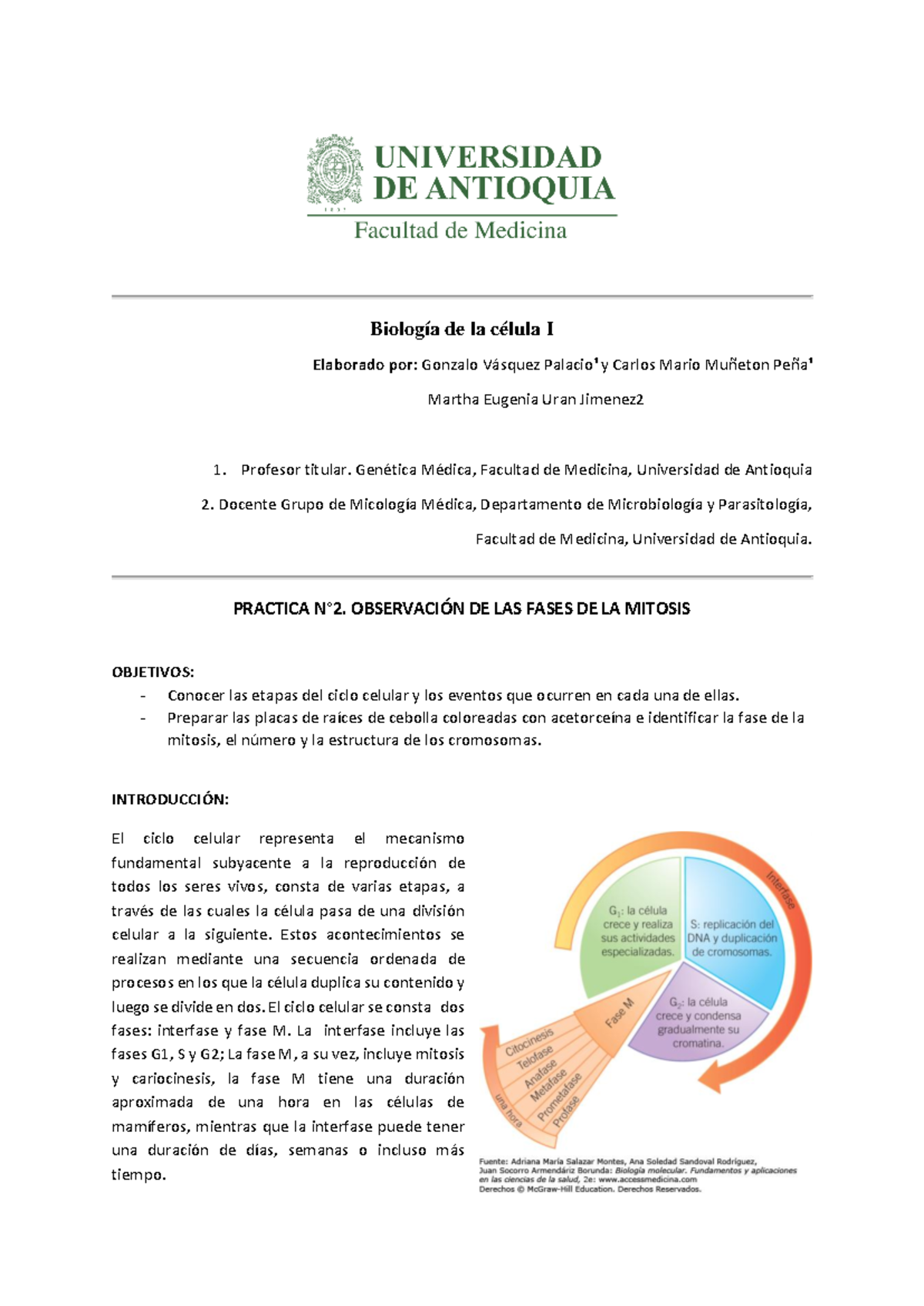 Práctica N°2: Observación de la Mitosis en Células Vegetales 2026-1 ...