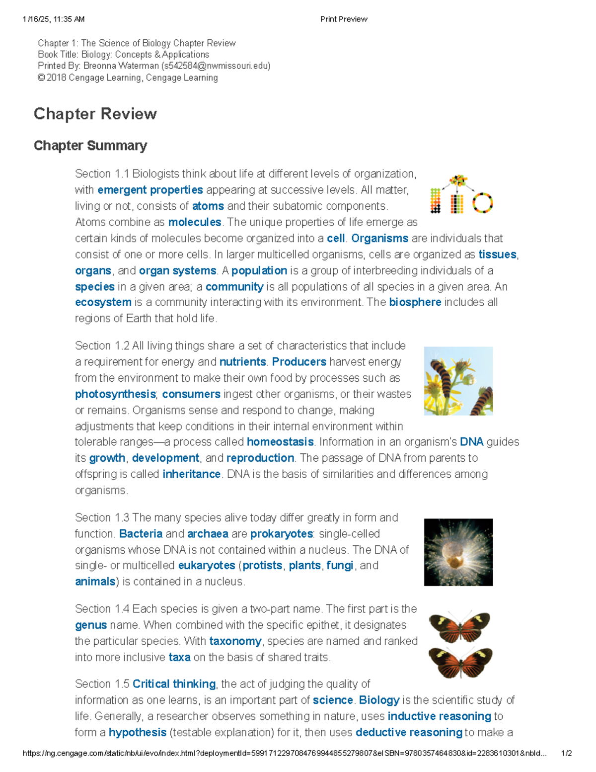 Biology: Concepts & Applications - Chapter 1 Review Summary - Chapter 1 ...