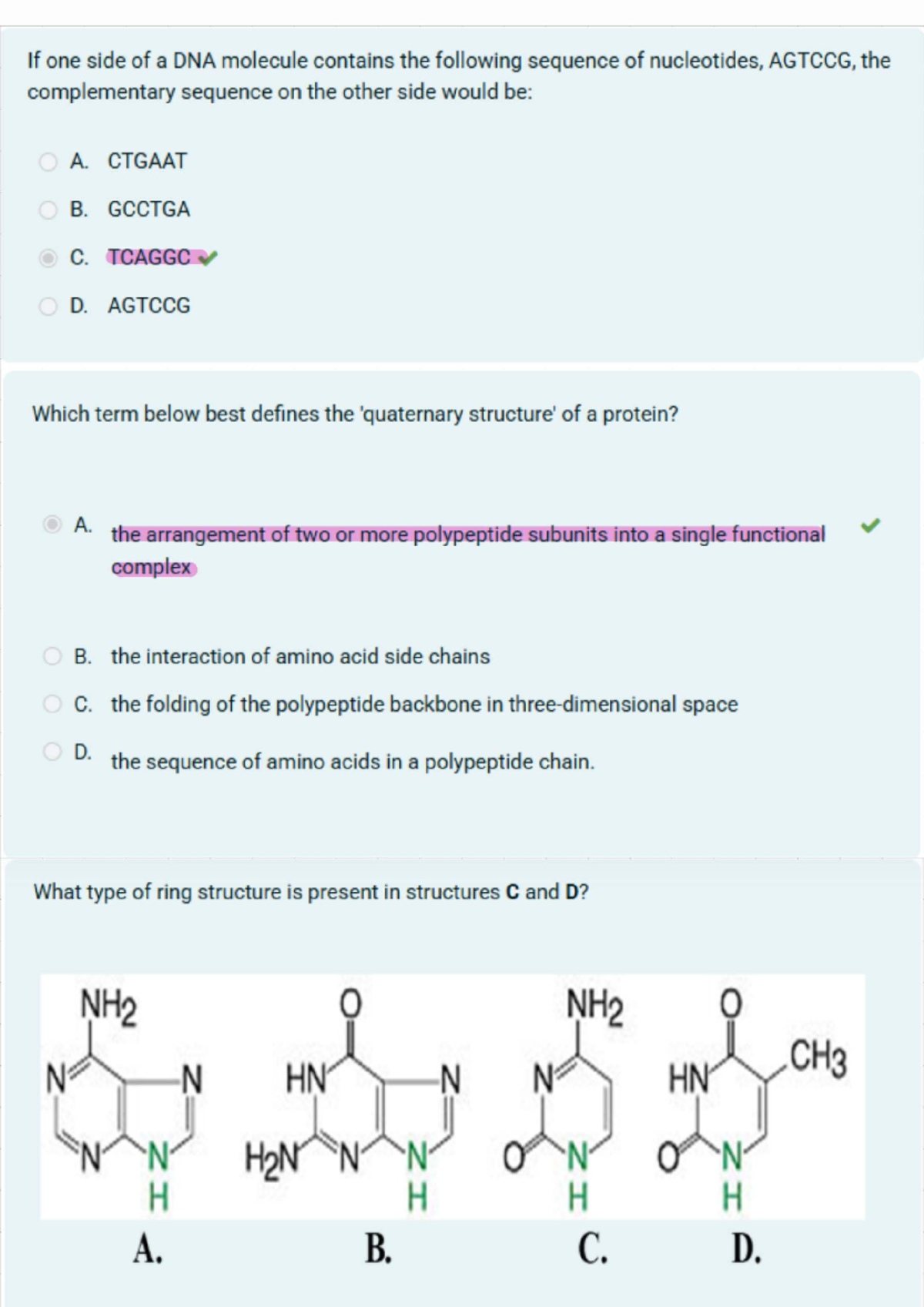 BMI2601 Quiz: DNA Structure, Protein Definition, and Metabolism - Studocu