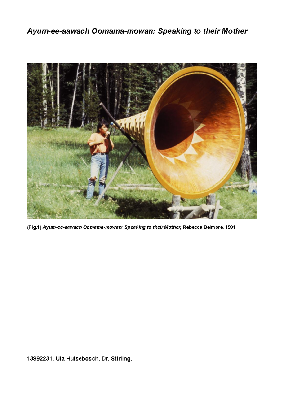 Final Essay on Rebecca Belmore's Ayum-ee-aawach Oomama-mowan (13892231 ...