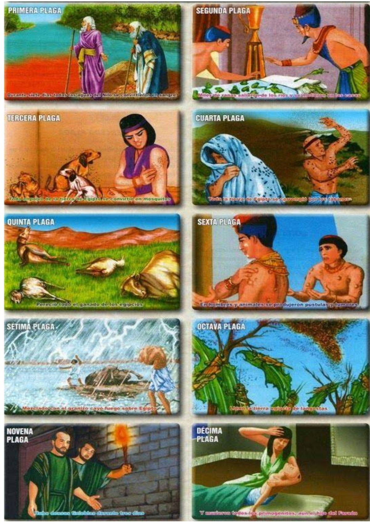 Las Plagas de Egipto: Estudio de las Diez Plagas Biblicas - Studocu