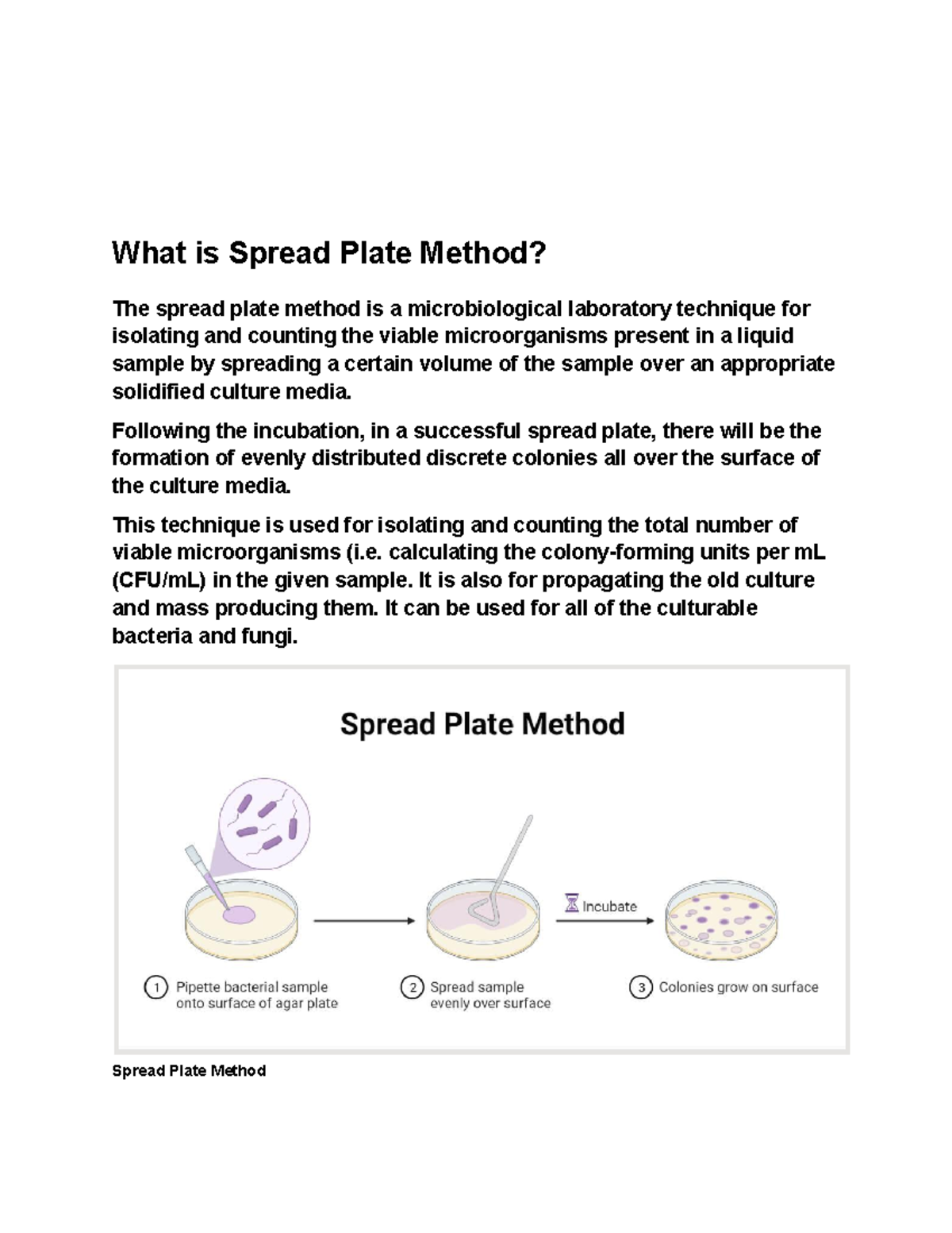 Spread Plate Method - What is Spread Plate Method? The spread plate ...