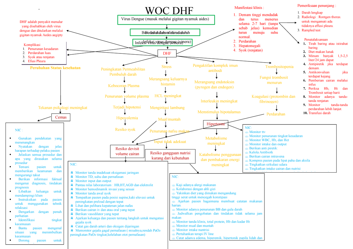 WOC DHF - Penatalaksanaan dan Intervensi pada Dengue Hemorrhagic Fever ...