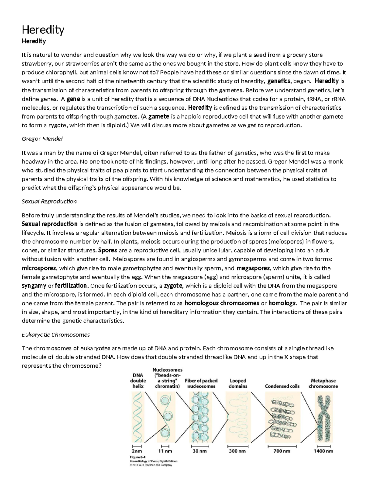 Understanding Meiosis: Key Processes & Genetic Diversity (BIO 101 ...