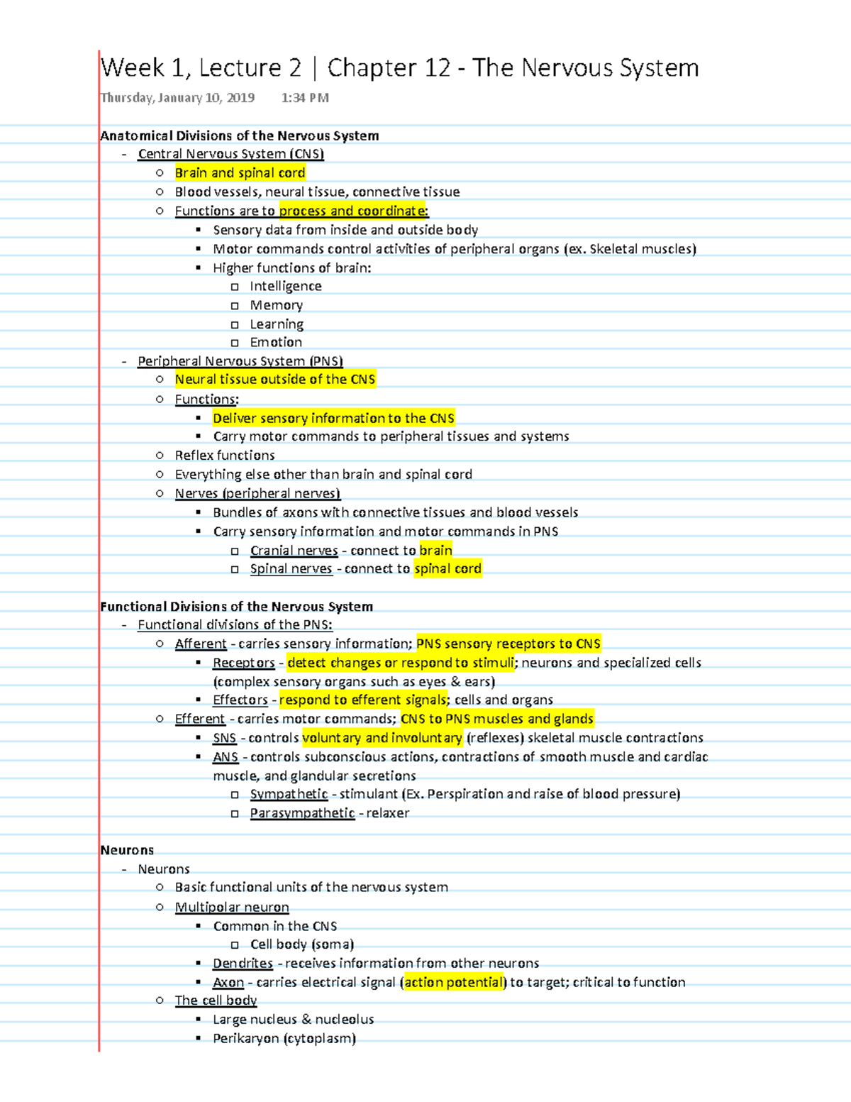 Chapter 12 - The Nervous System - Anatomical Divisions of the Nervous ...