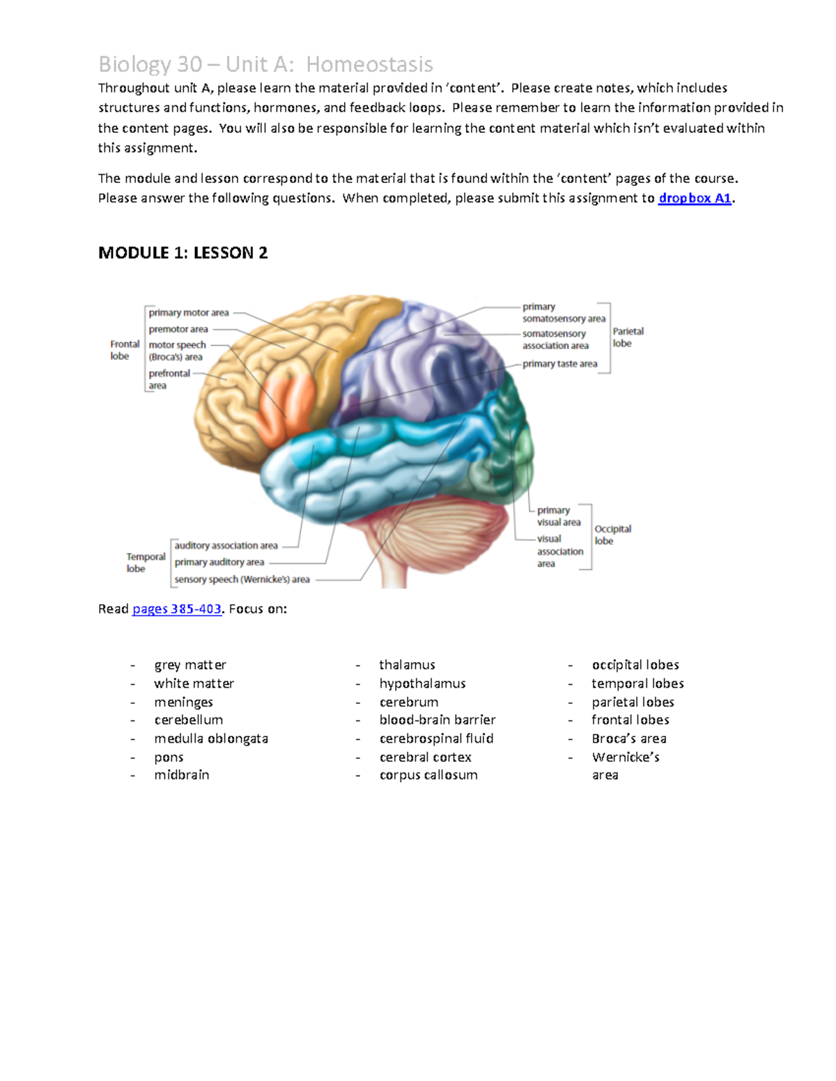 B30 Unit A - Assignment Notes on Endocrine System and Brain Functions ...