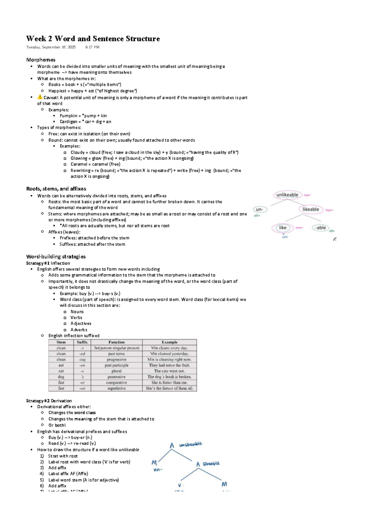 Week 2 Lecture: Morphemes and Sentence Structure Analysis - Studocu