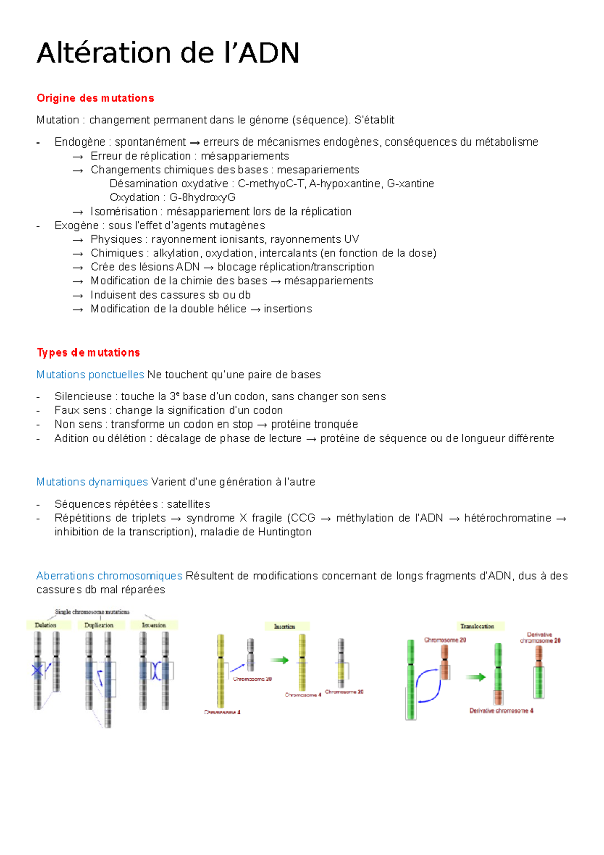 Étude des Mutations ADN : Origines, Types et Méthodes de Recherche ...