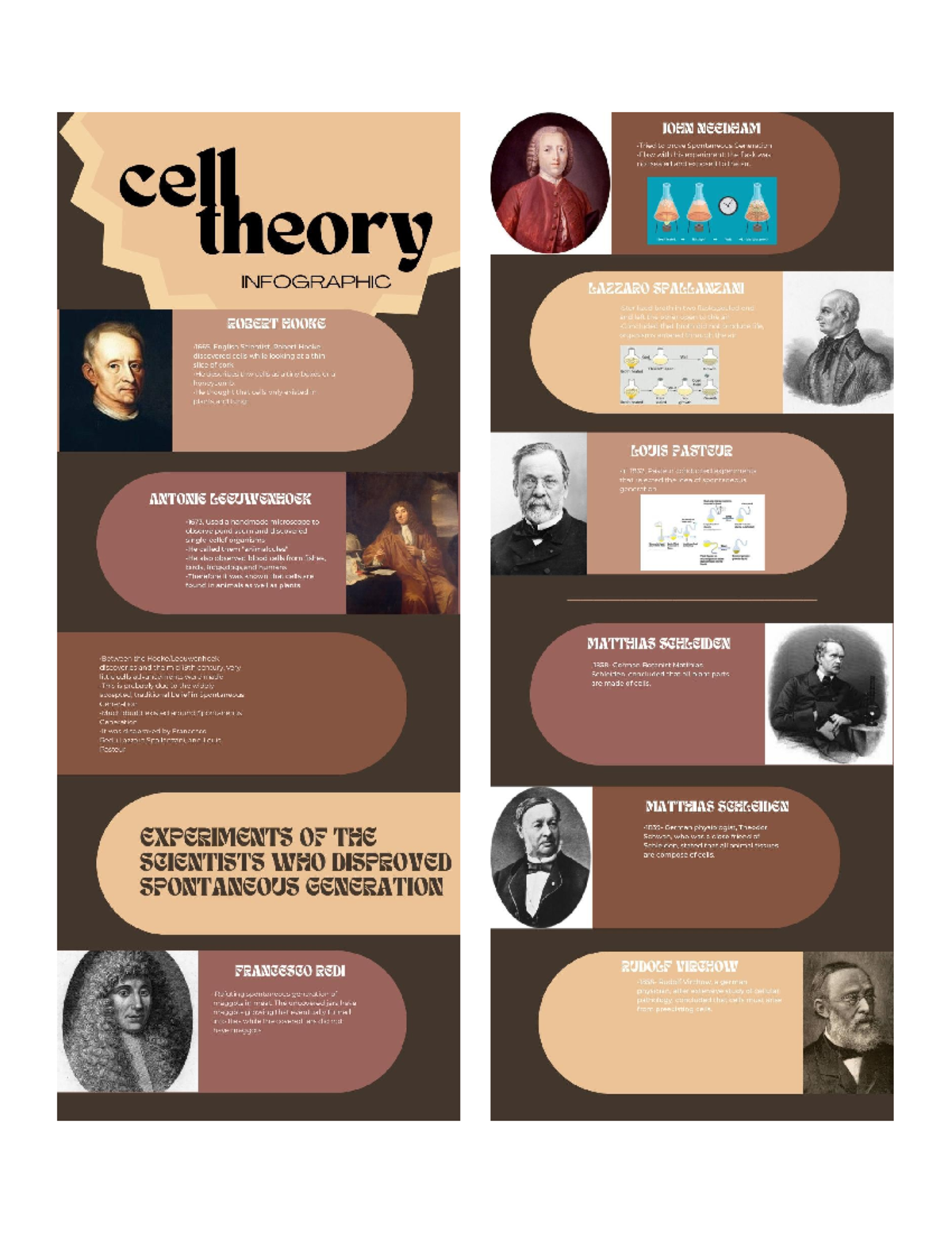 History of Cell Theory and Experiments Disproving Spontaneous Gen ...