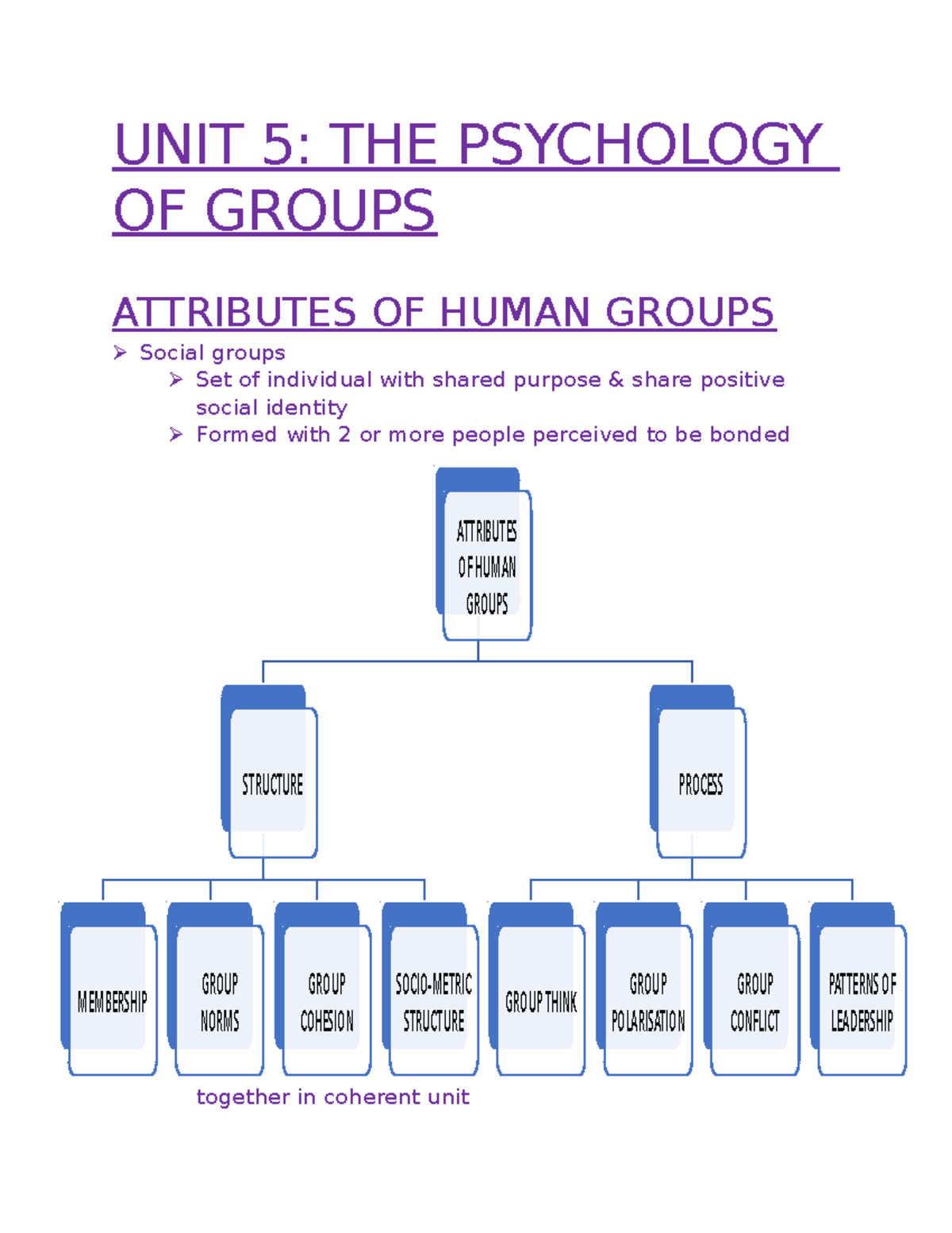 UNIT 5 - PYC1502 Notes from the official UNISA study guide. I got ...