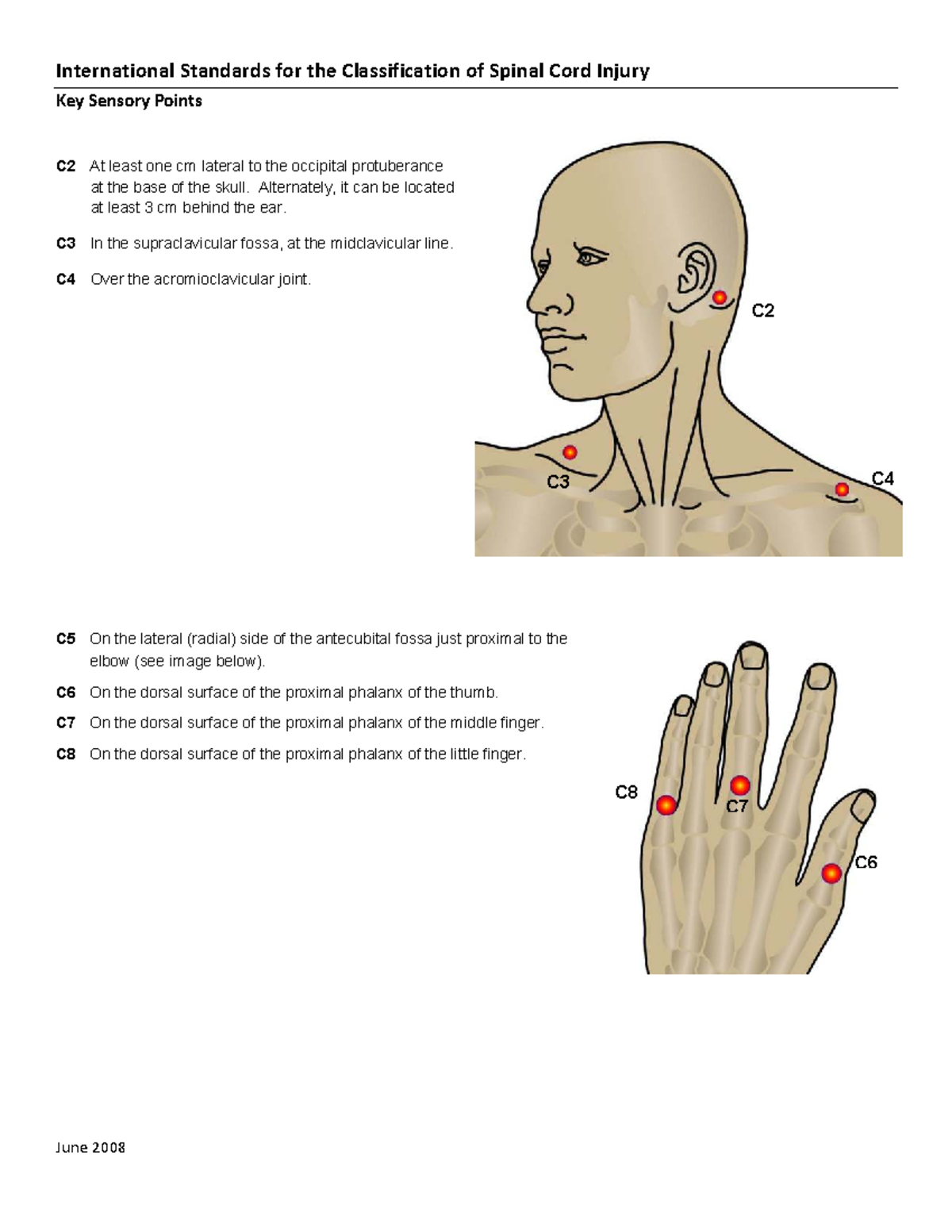 Key Sensory Points for Spinal Cord Injury Classification - Surgery Part ...