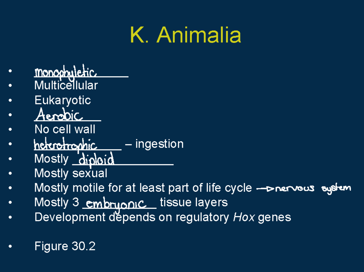 Animalia Phyla Overview: Annelida, Mollusca, Nematoda, Arthropoda - Studocu