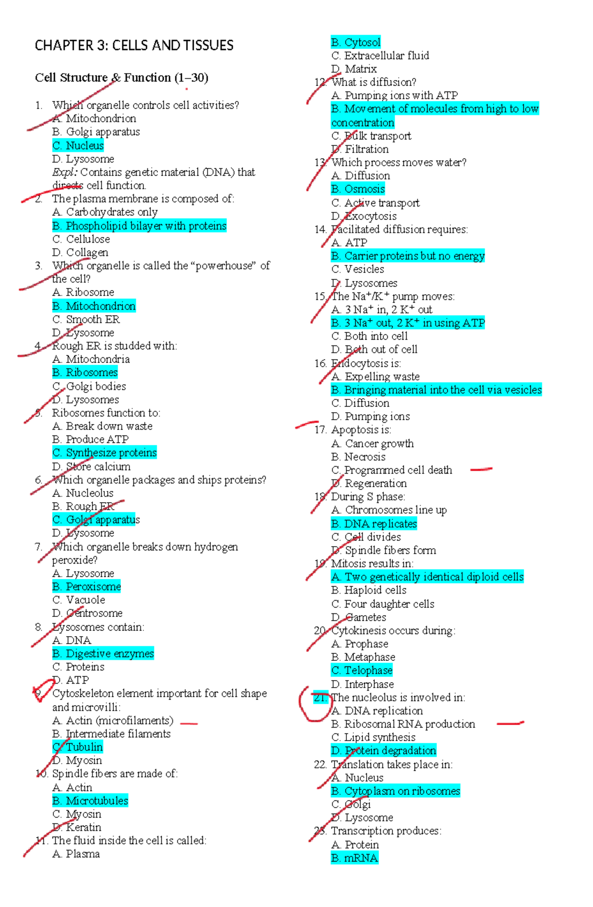 Anaphy-Review: Cells and Tissues (CHAPTER 3) Study Guide - Studocu