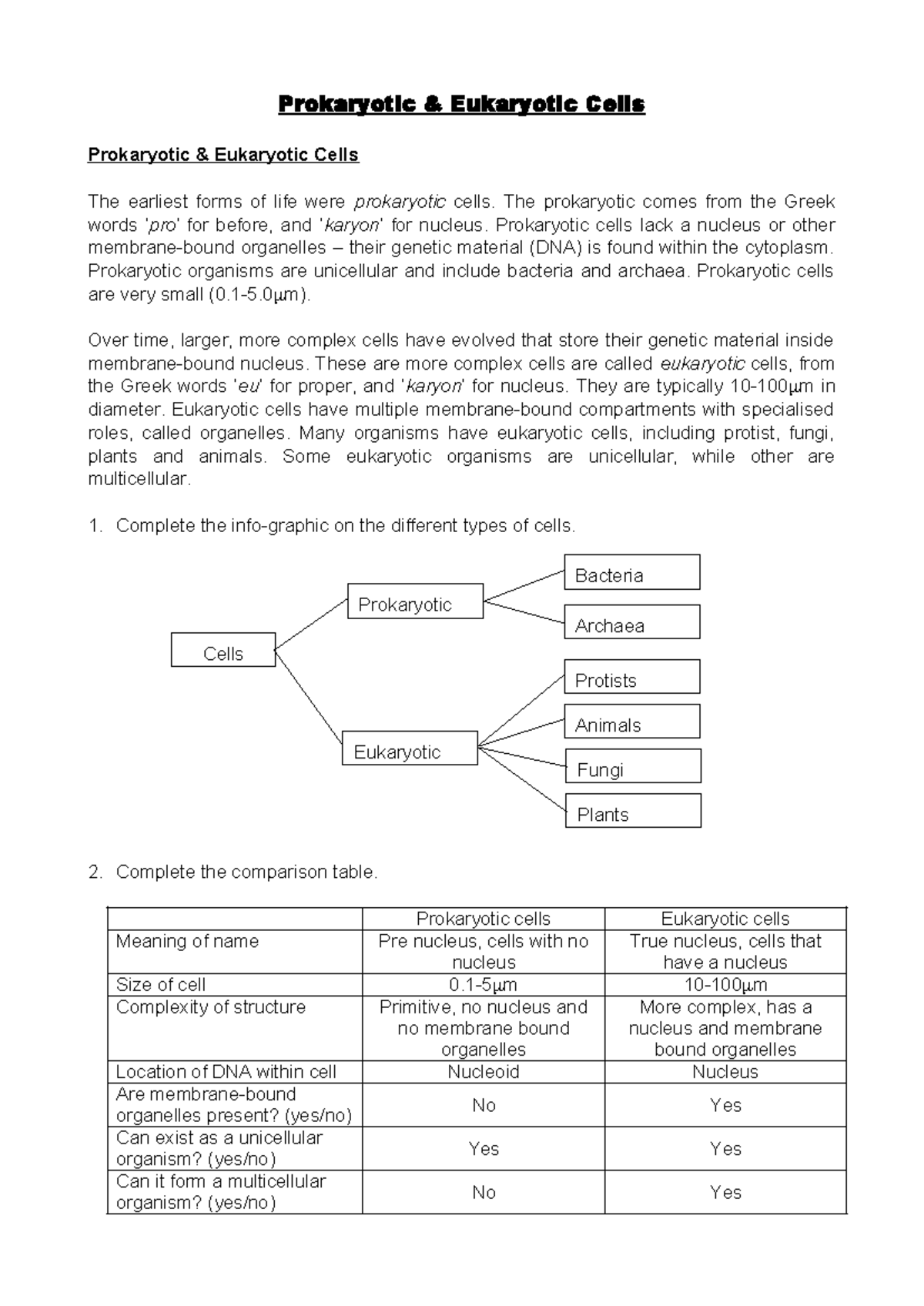 Prokaryotic & Eukaryotic Cells: A Comparative Study - Studocu
