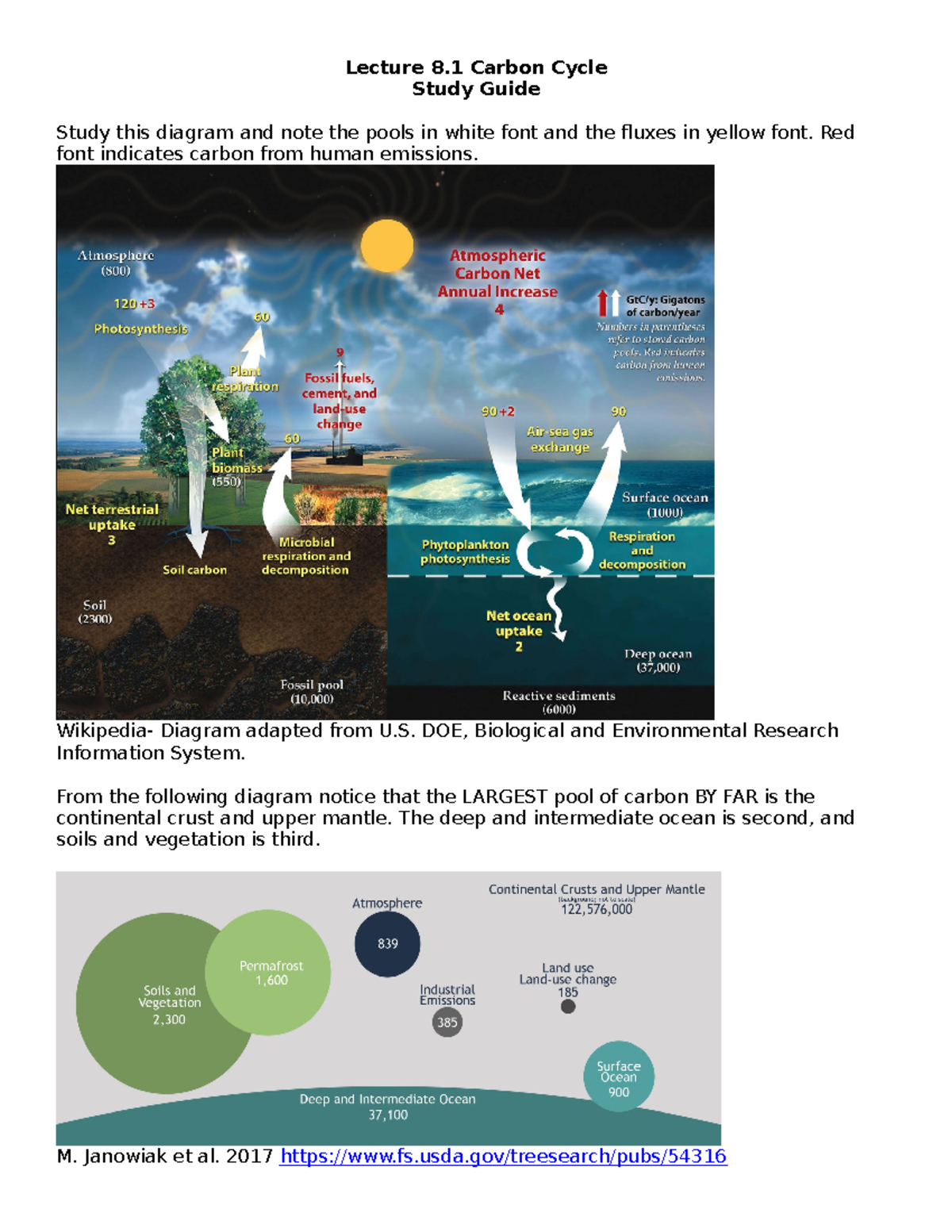 Lecture 8.1: Study Guide on the Carbon Cycle and Human Impact - Lecture ...