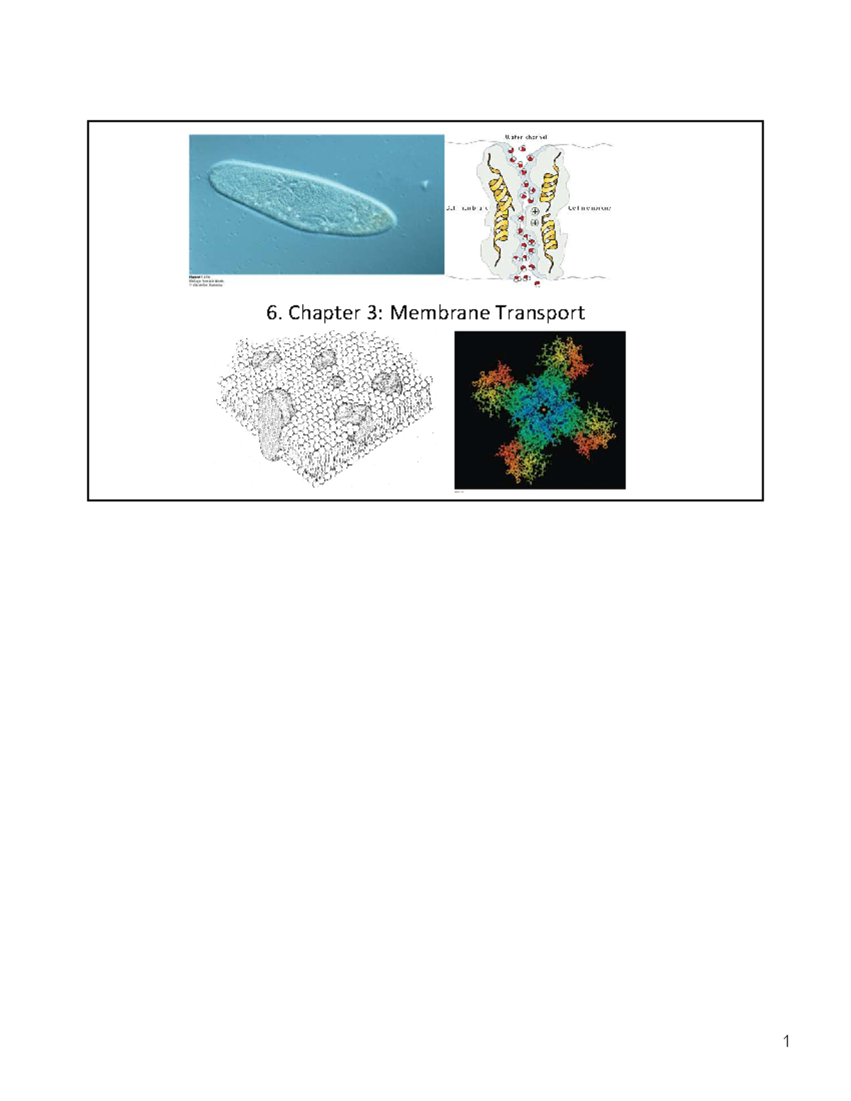 Chapter 3: Membrane Transport - Key Concepts & Functions (Bio 101 ...