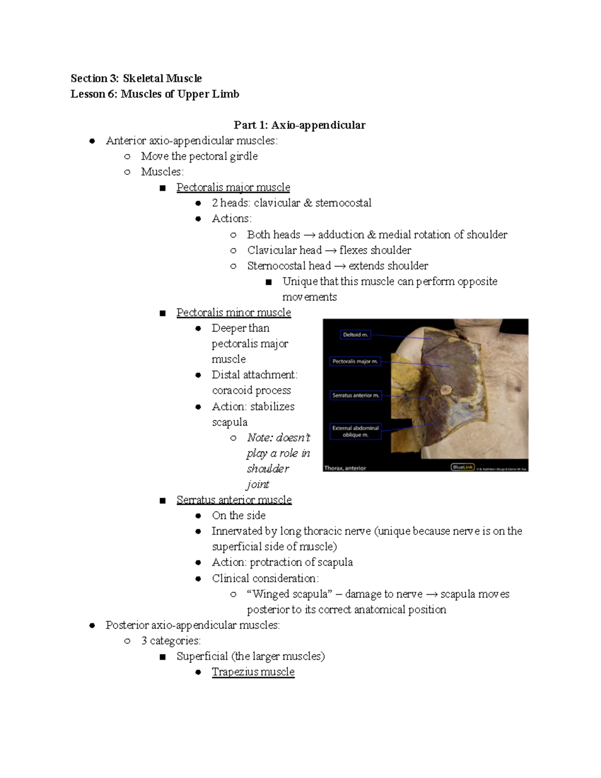 19- Muscles of Upper Limb - Section 3: Skeletal Muscle Lesson 6 ...