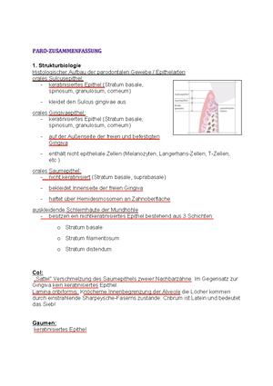 Redemittel OPG RTG - Zusammenfassung Mund-, Kiefer- und ...