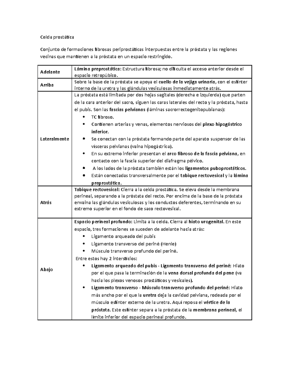 Celda Prostática: Anatomía y Estructura - Estudio de Porrero - Studocu