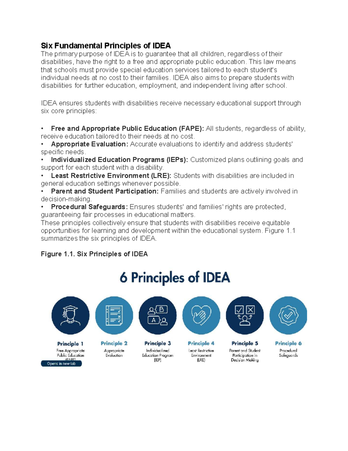 Six Core Principles of IDEA: Ensuring Education for All - Studocu
