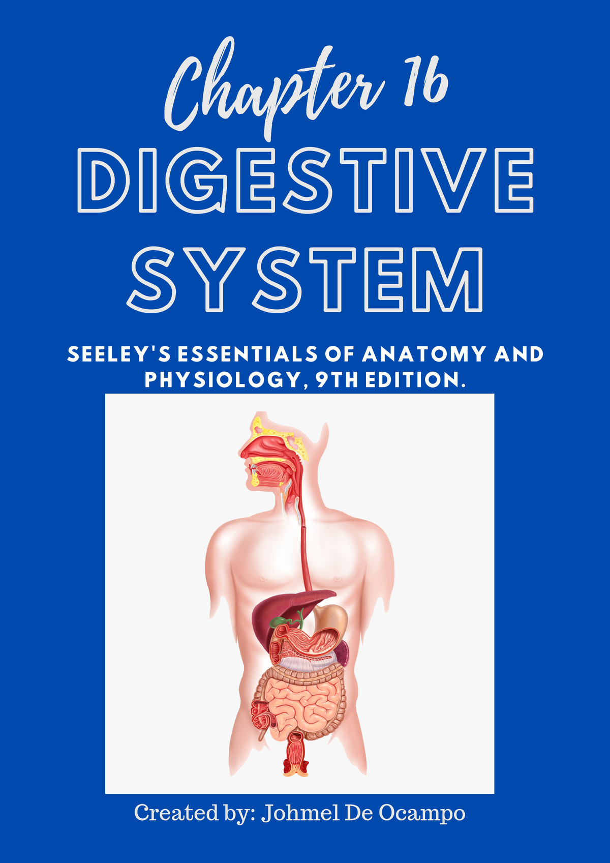 Anatomy Physiology (Chapter 16: Overview of the Digestive System) - Studocu