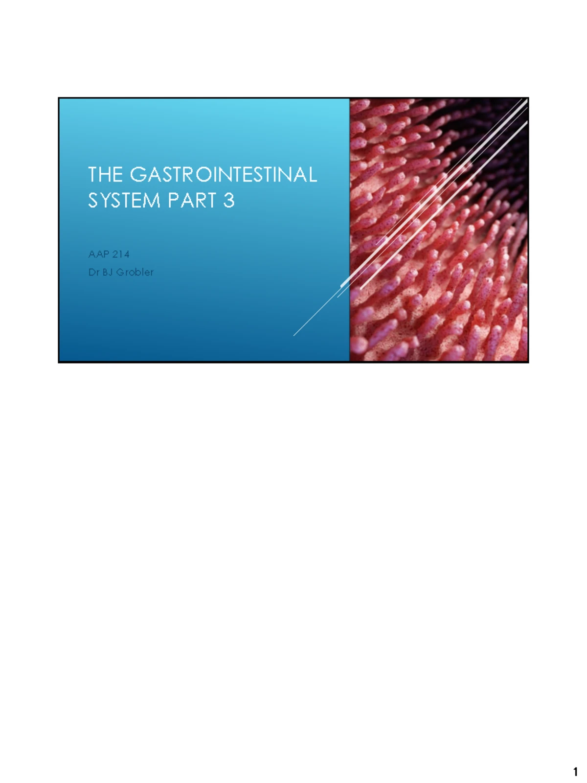 Gastrointestinal System Overview: Structure, Function & Digestion ...