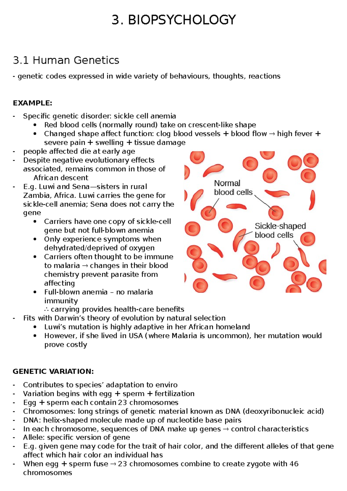3. Biopsychology - Comprehensive Chapter Notes and Key Concepts - Studocu