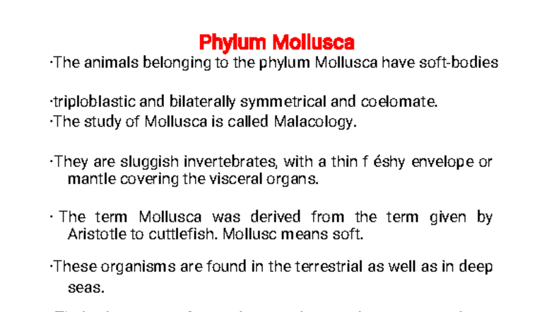 Invertebrate Zoology: Phylum Mollusca Overview and Classification - Studocu