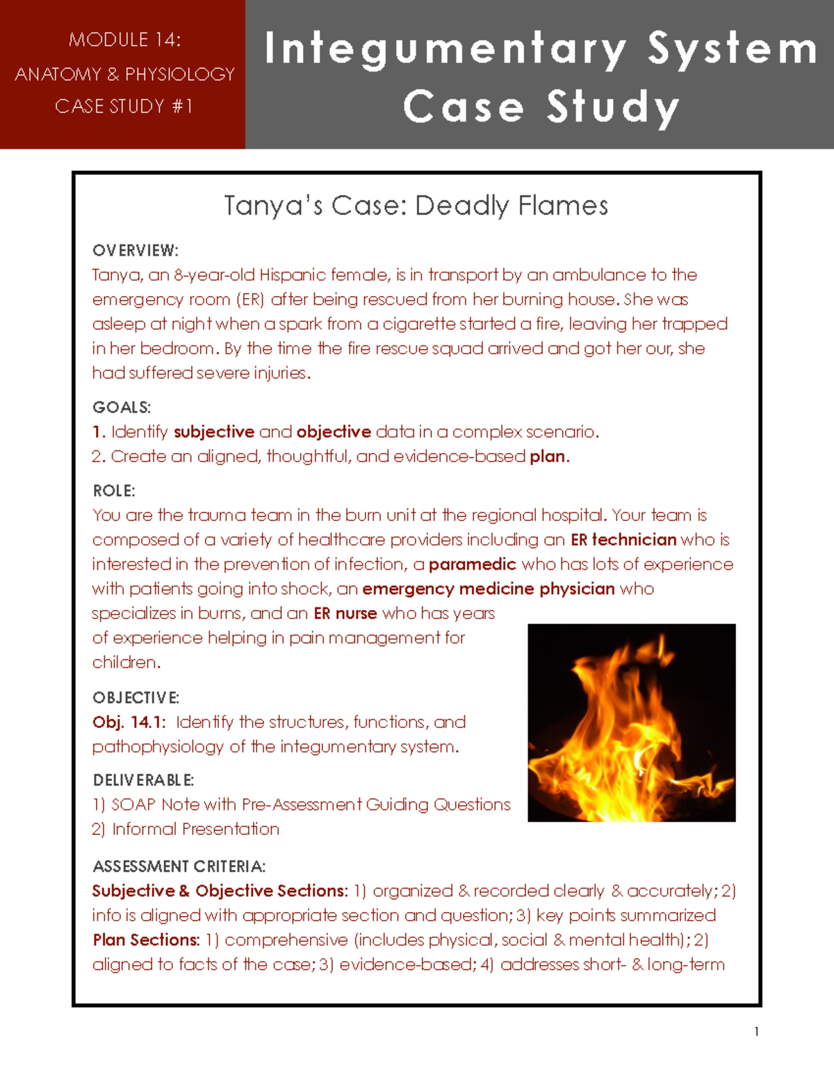 Kami Export - Integumentary System Case Study Project (Module 14) - Studocu