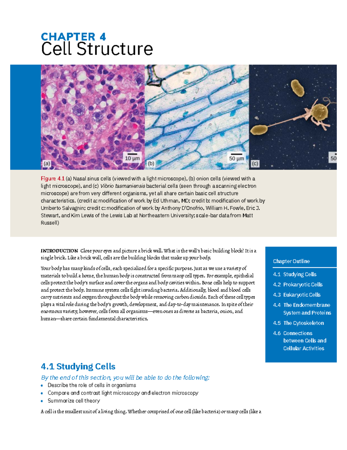 CHAPTER 4: Eukaryotic and Prokaryotic Cell Structures and Functions - Studocu