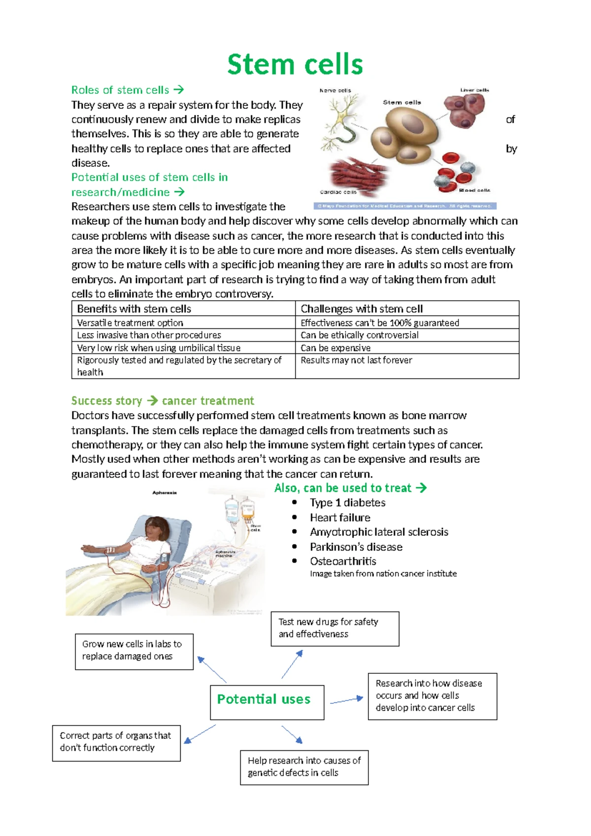 Unit 4 workbook - book - The Structure and Function of Cells Assignment ...