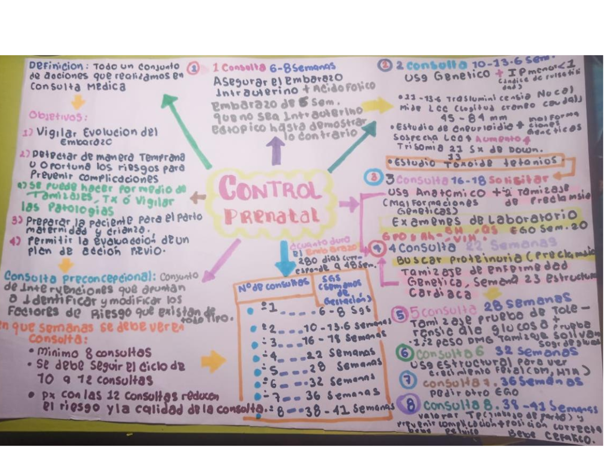 MAPA Mental DE Control Prenatal - Definicion: Todo un conjunto 3 1 Conselta 2 de dociones que ...