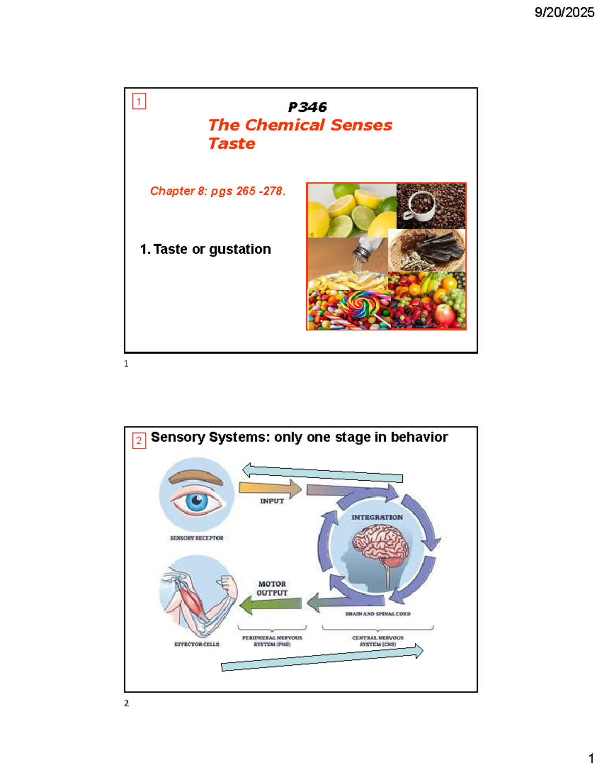 Mechanisms of Taste Transduction in Sensory Systems (P346) - Studocu