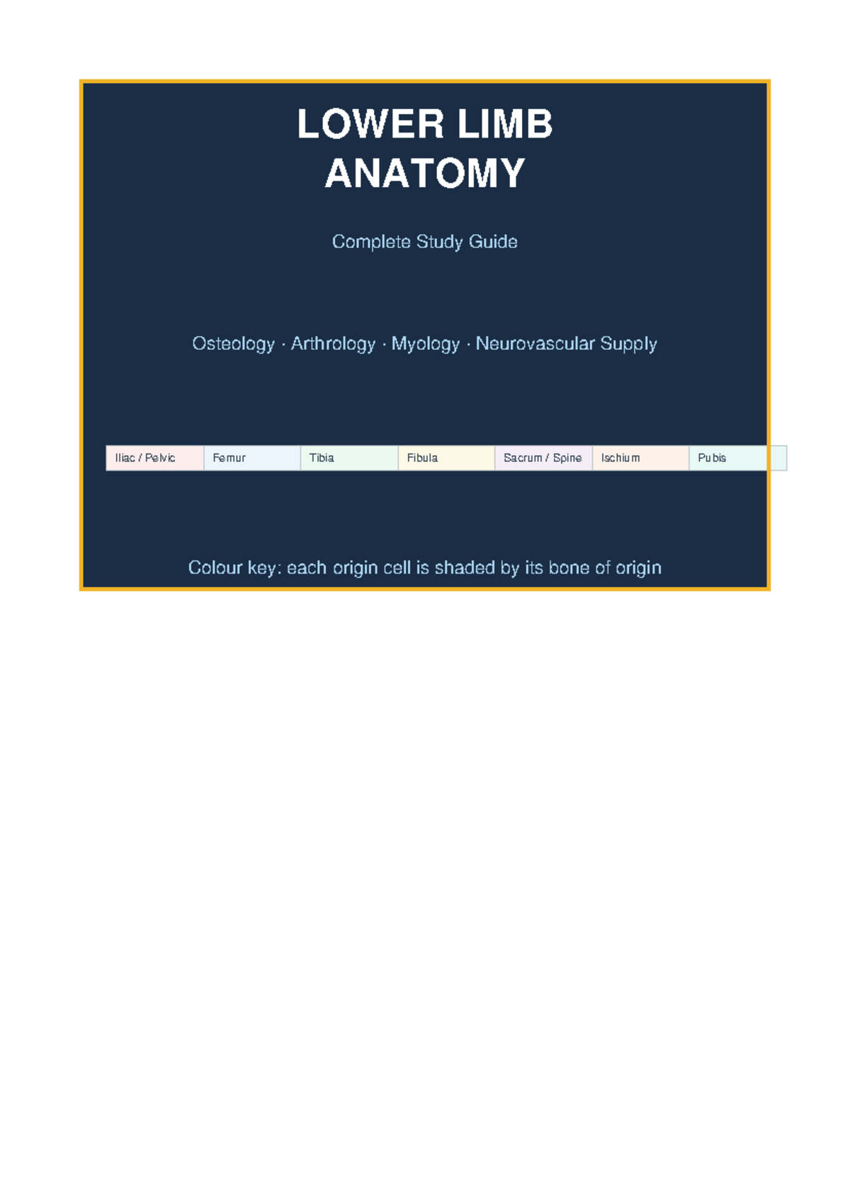 Lower Limb Anatomy Study Guide: Osteology, Arthrology, and Myology ...