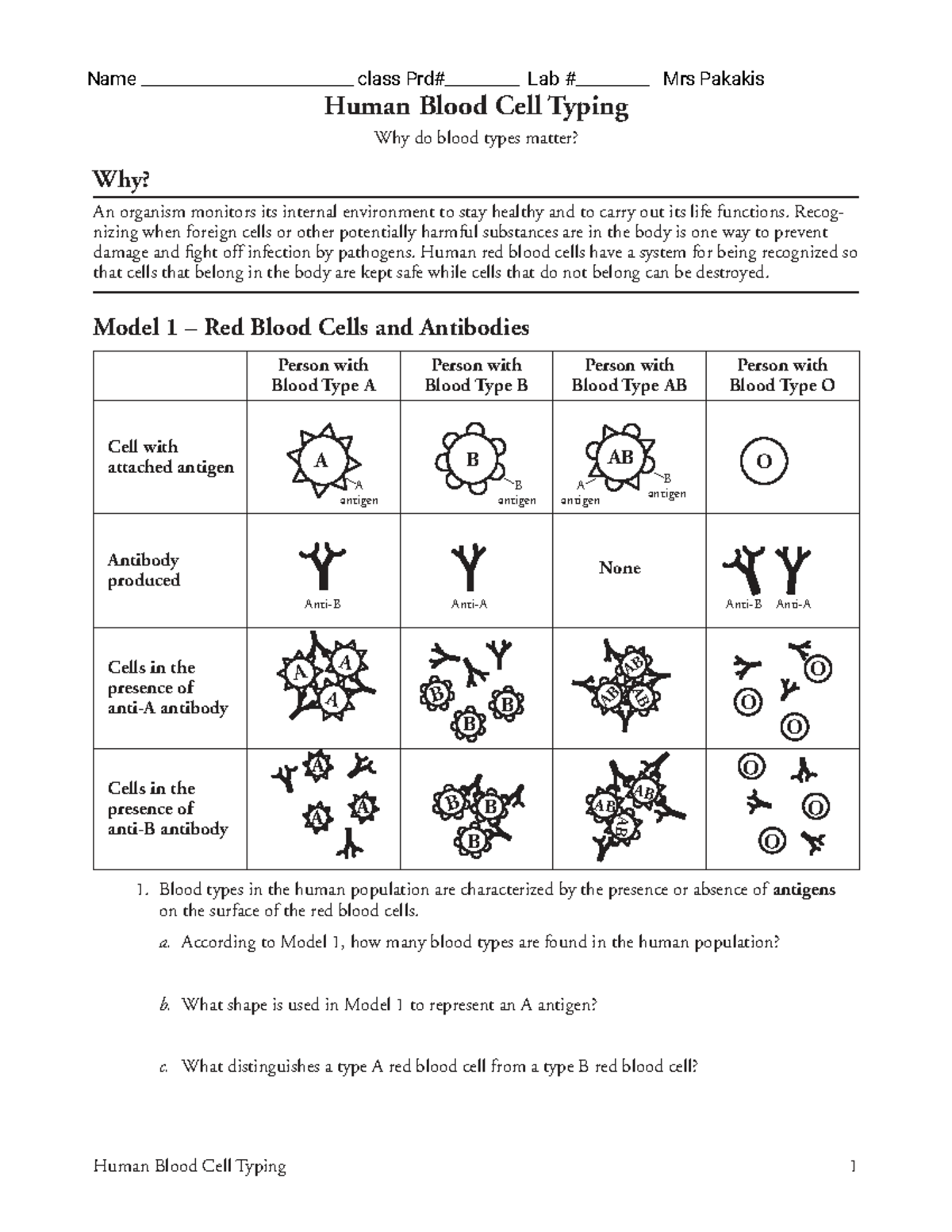 Blood Typing Lab (BIO 101): Understanding Human Blood Cells - Studocu