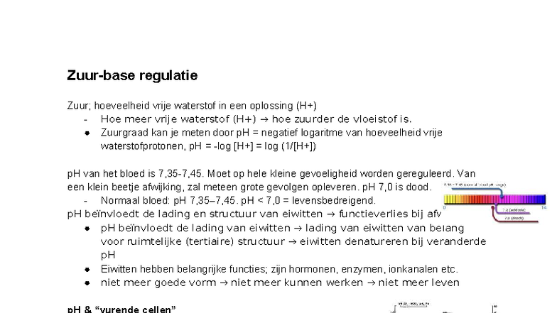 Zuur-Base Regulatie en pH Beheer in het Lichaam - Studeersnel