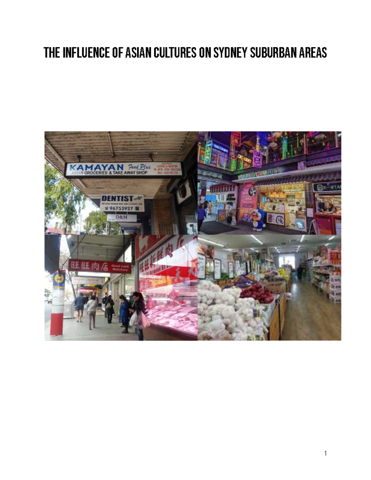 Asian Cultural Influences in Burwood & Rooty Hill: A GI Study (GI 34/35 ...