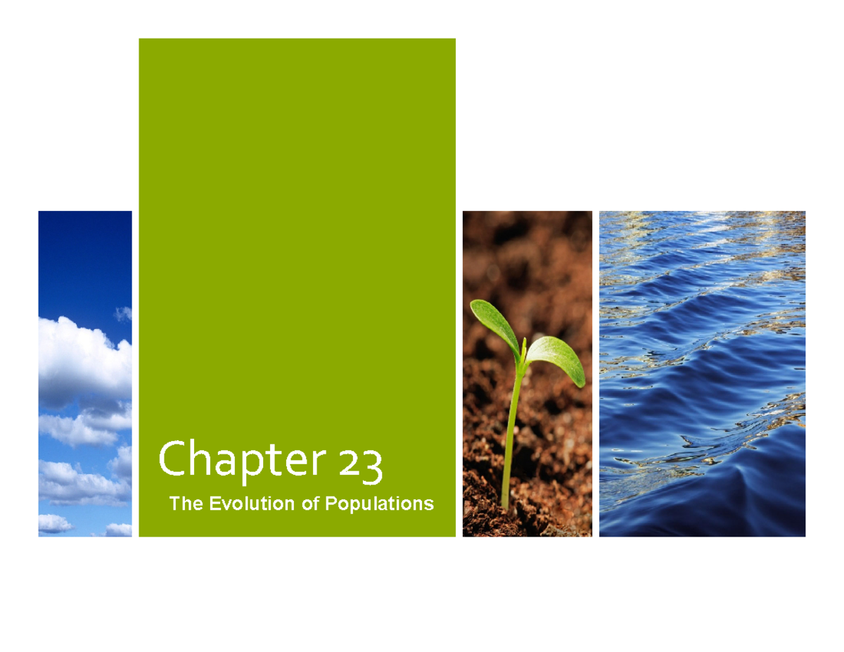 Chapter 23: The Evolution of Populations - Natural Selection and Gene ...