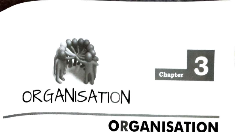 MBP 3: Comprehensive Notes on Organisation Concepts and Structures ...