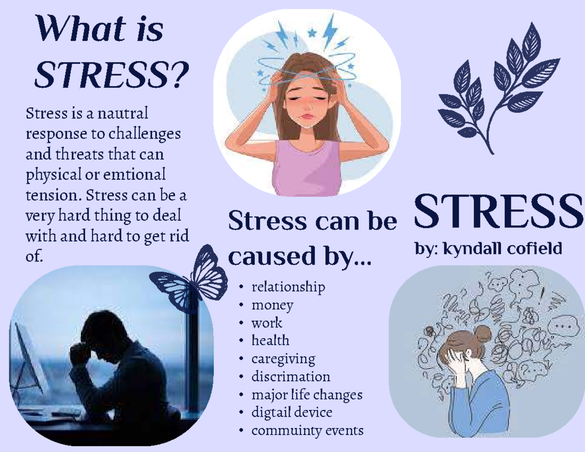 Understanding Stress: Causes and Effects on Life Challenges - Studocu