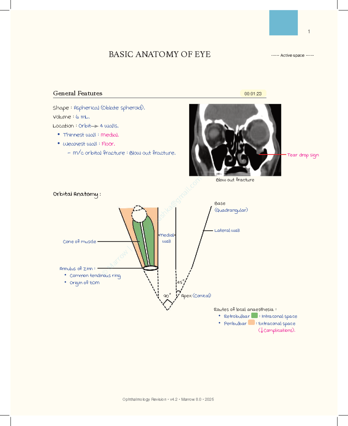 BASIC ANATOMY OF THE EYE - Revision Notes for Ophthalmology - Studocu