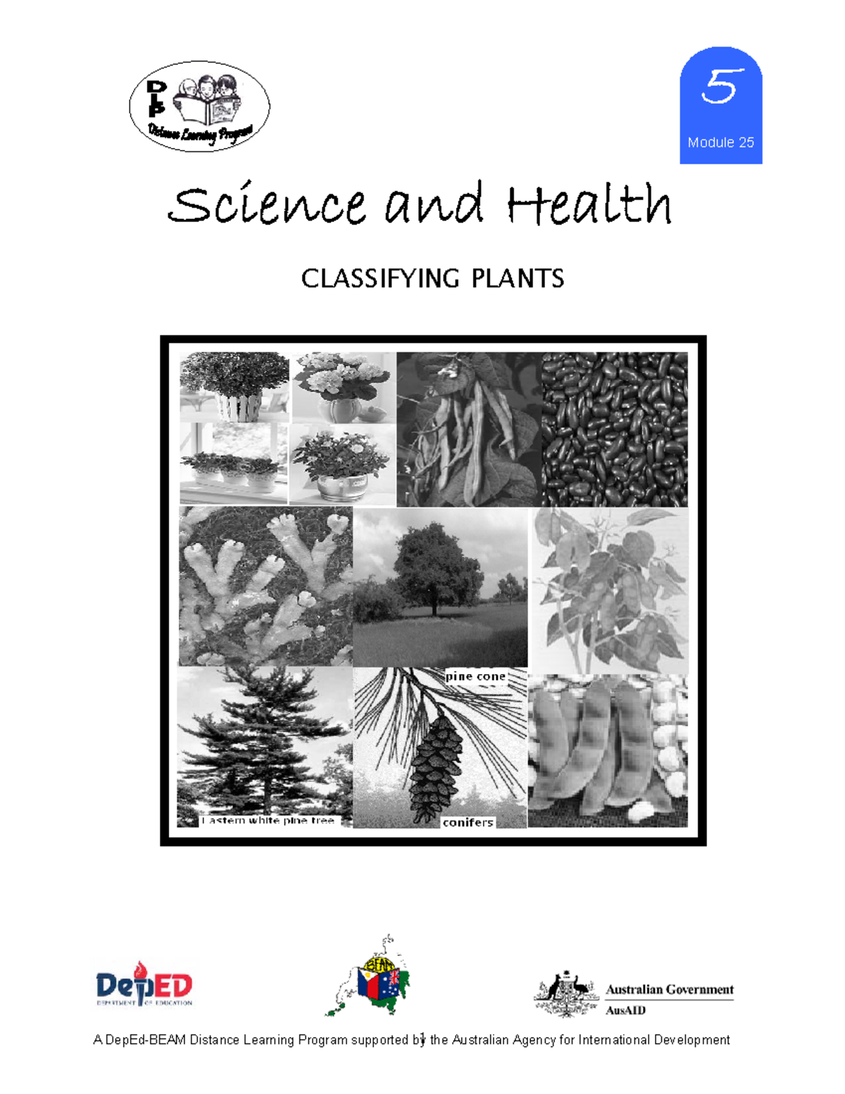 Classifying Plants: A Guide for Grade 5 Science (Module 25) - Studocu