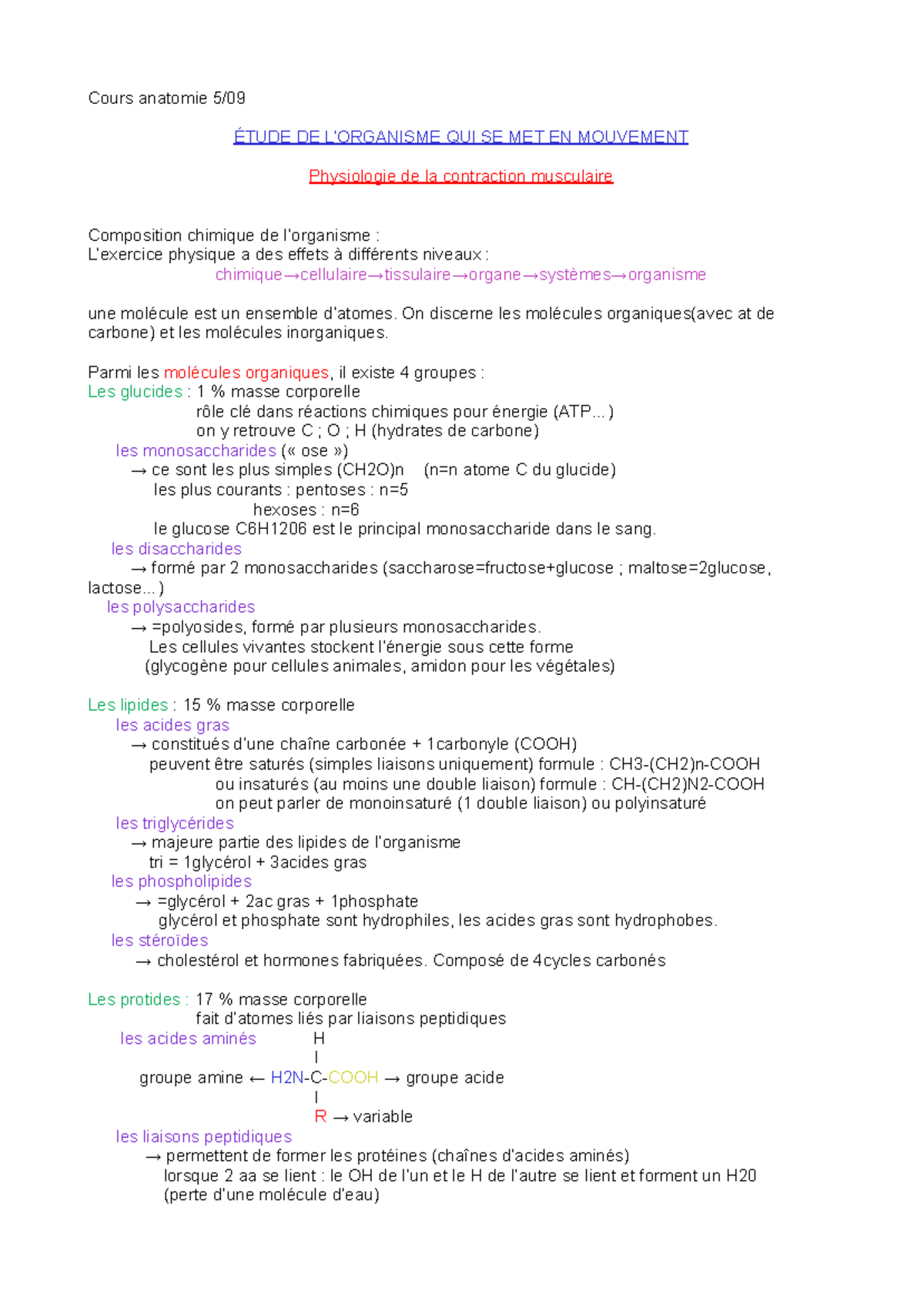 Anatomie et Physiologie : Contraction Musculaire et Composition ...